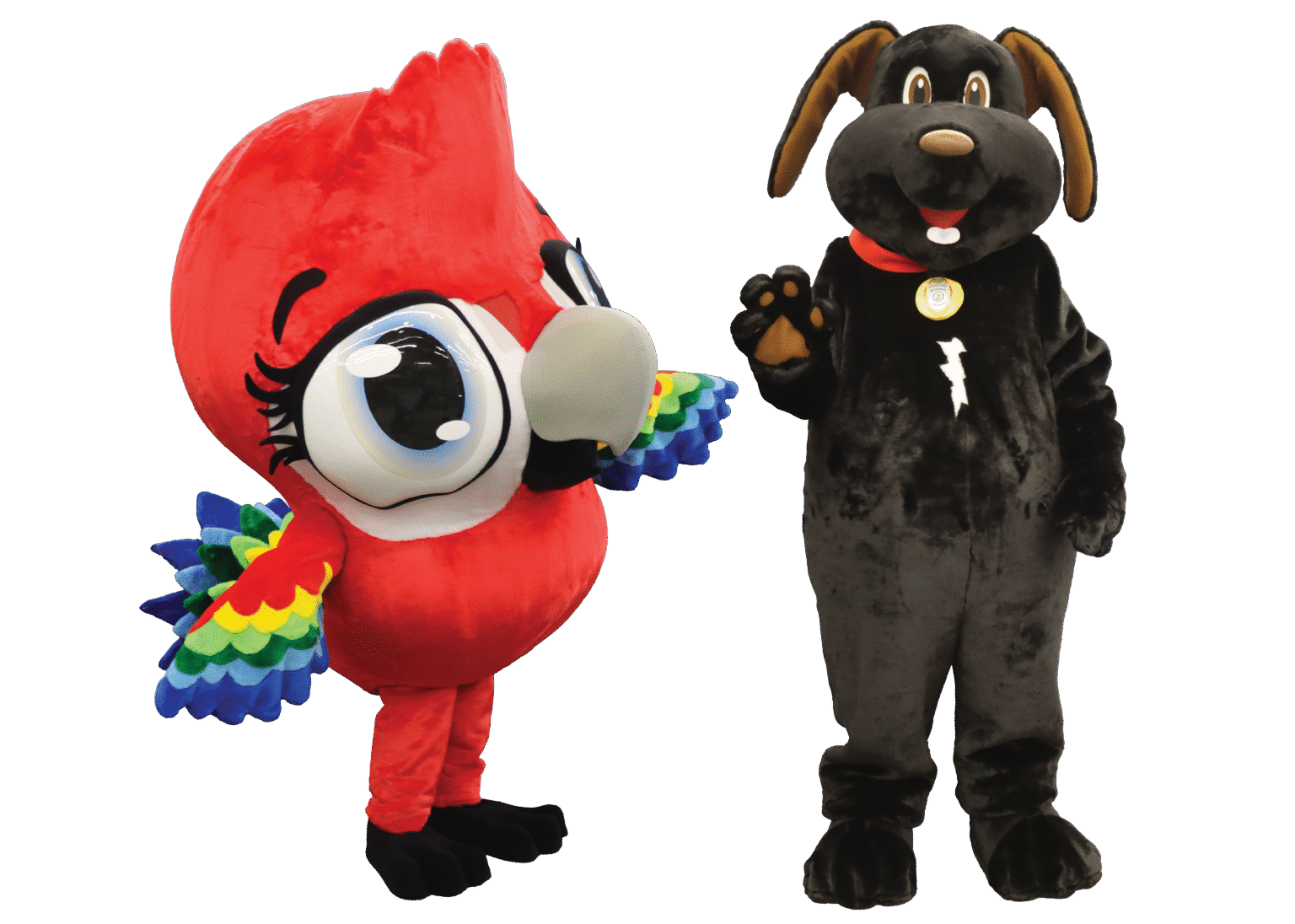 How To Buy A Custom Mascot Costume: 10 Things to Consider - Olympus Mascots