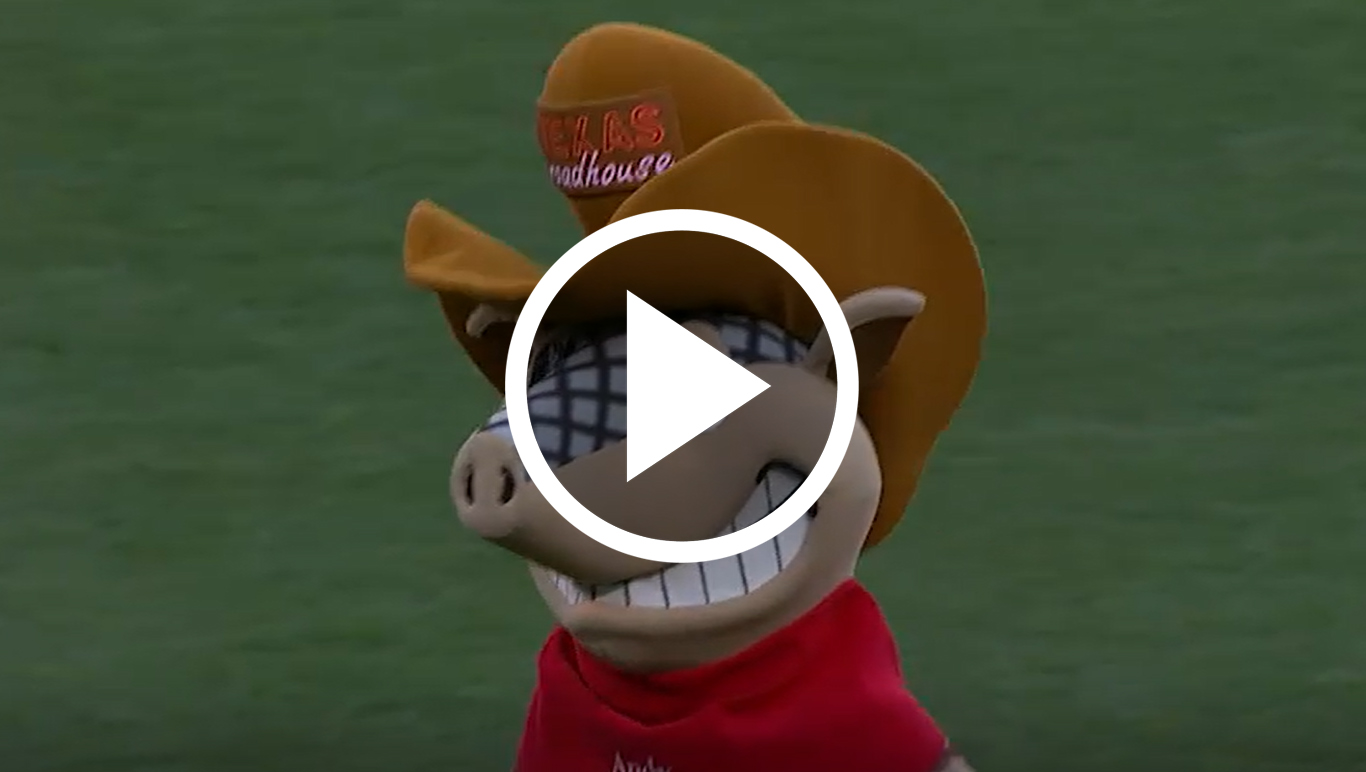 Texas Roadhouse Mascot - Andy Armadillo - Olympus Mascots