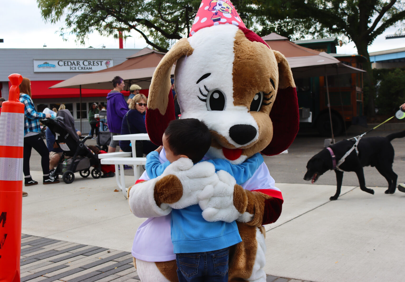 Mascotting 101: How to Be A Mascot Performer - Olympus Mascots