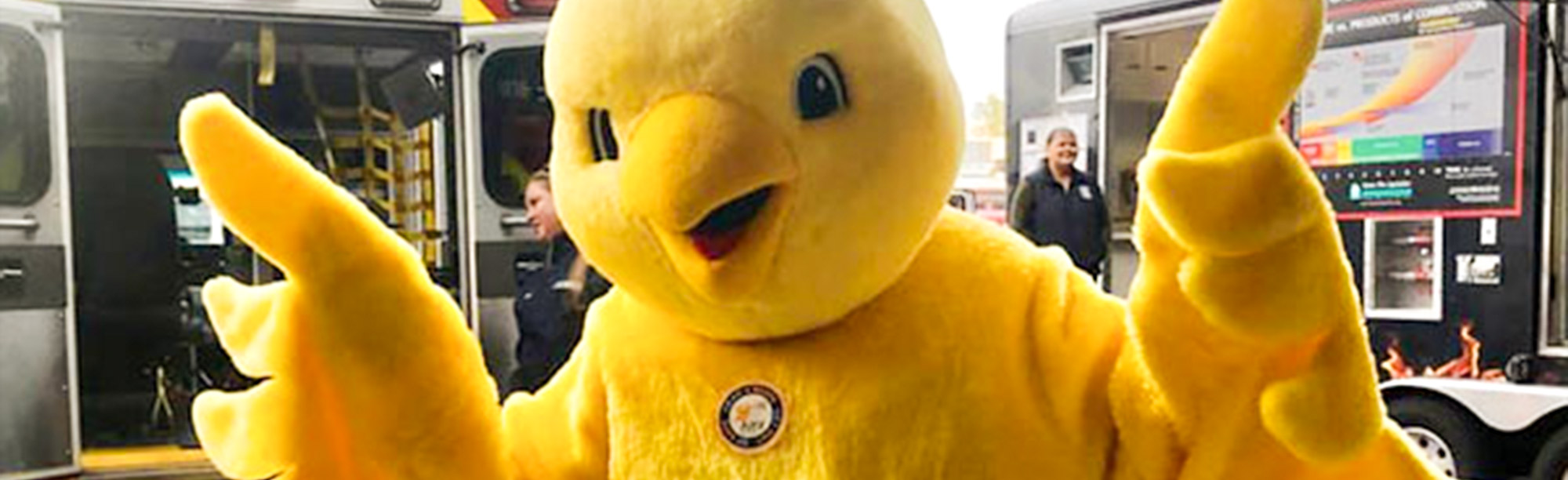 Jenkins Foundation – Airy the Canary Mascot - Olympus Mascots