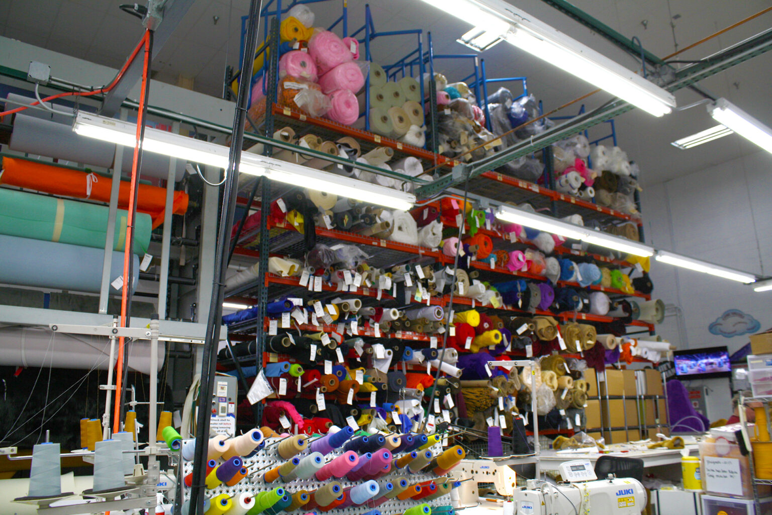 Starting a Corporate Mascot Program - Olympus Mascots