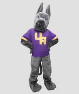 Damian the Great Dane - University of Albany - Olympus Mascots
