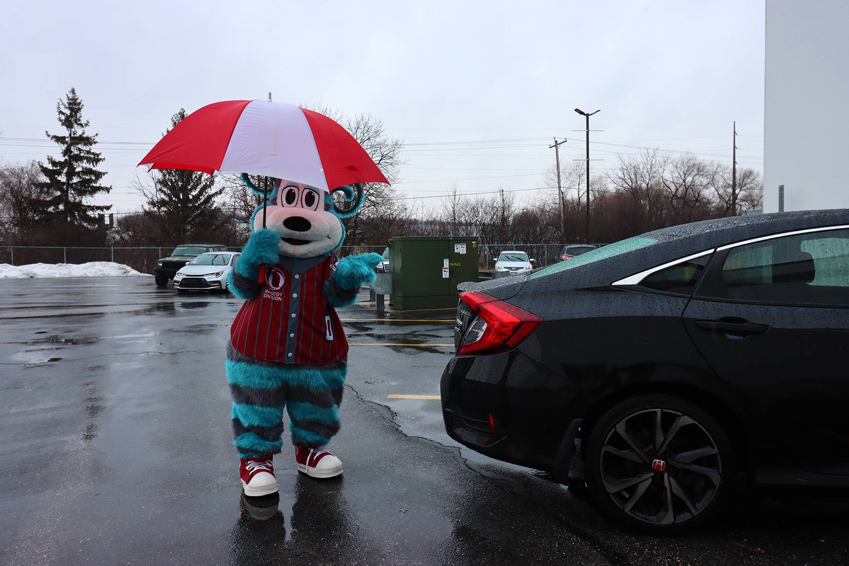 Mascots and Weather - Olympus Mascots