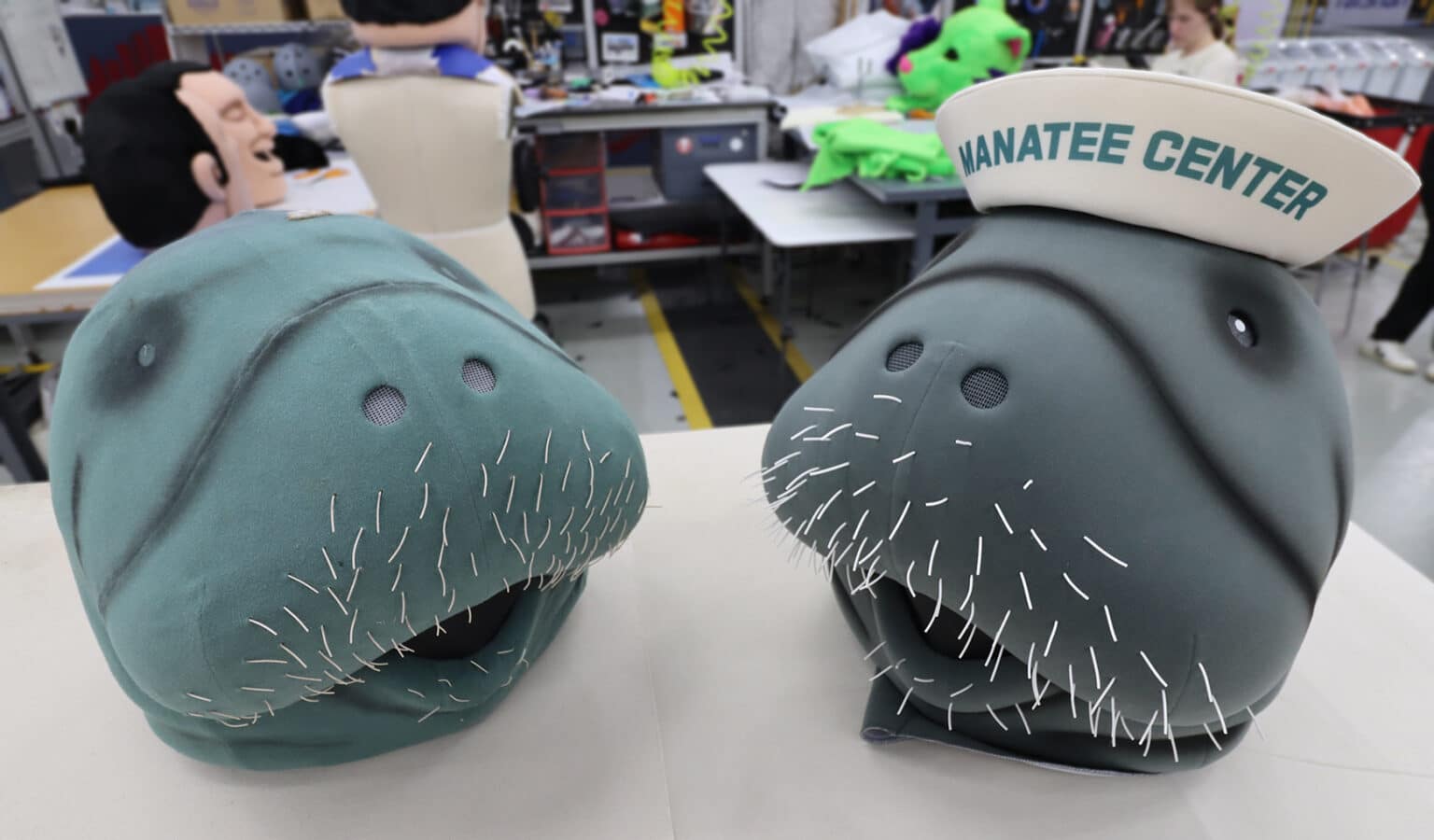 Bringing Moe the Manatee Back to Life - Manatee Center - Olympus Mascots