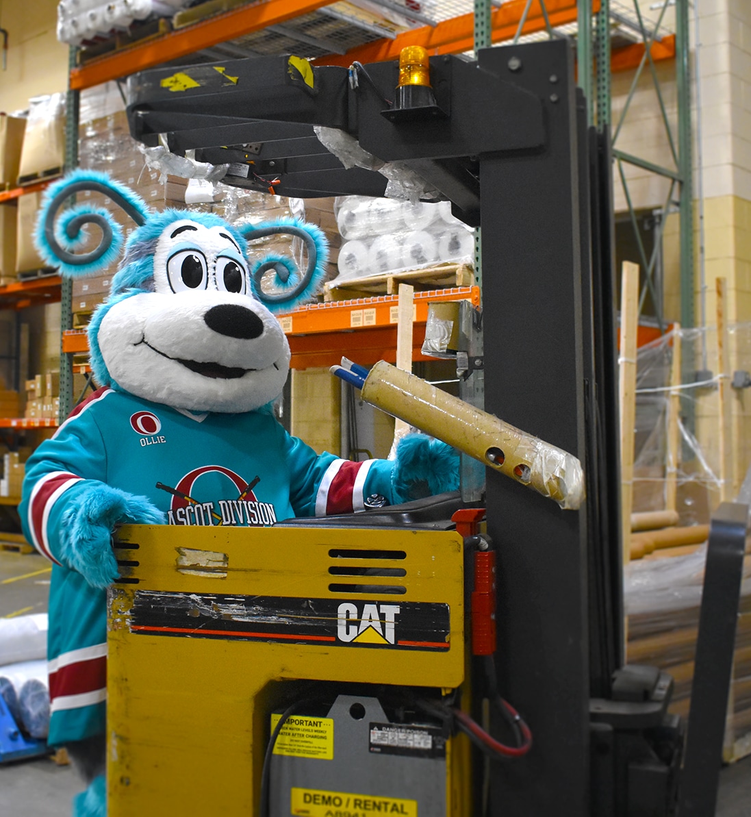 Mascot Rush Orders - Olympus Mascots