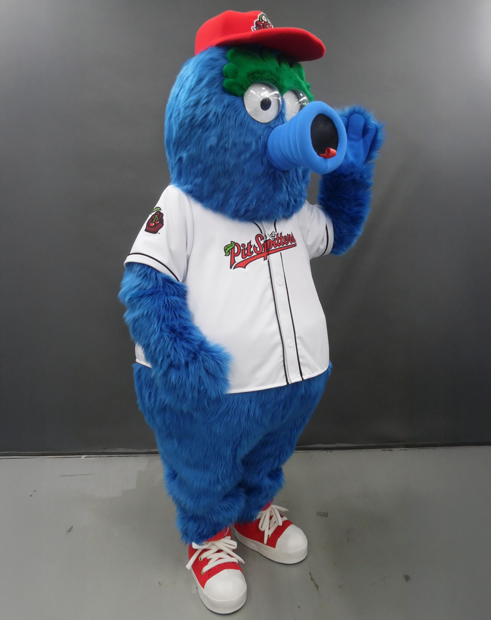 How to Name Your Mascot - Olympus Mascots